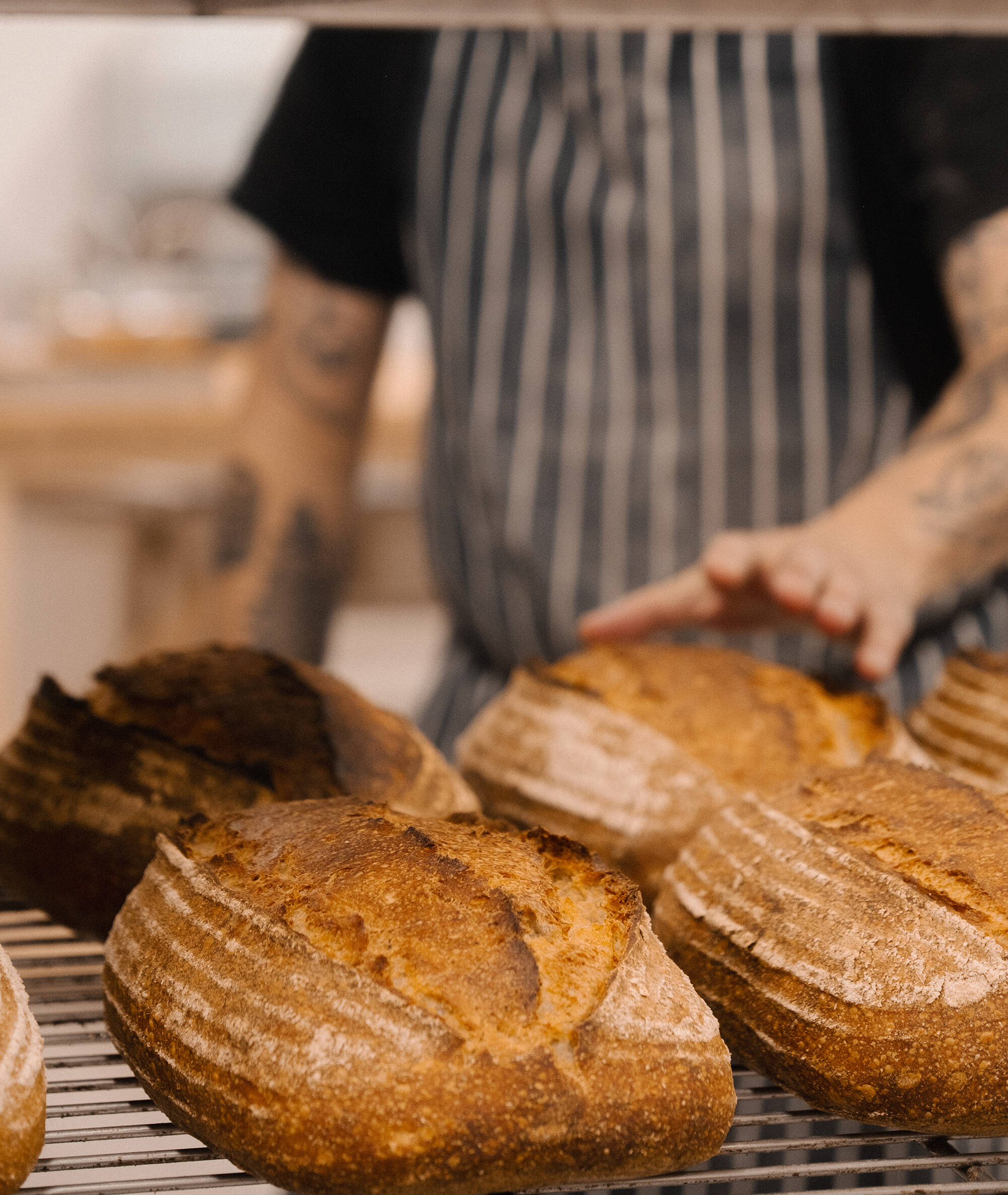 ABOUT US | Pavilion Bakery