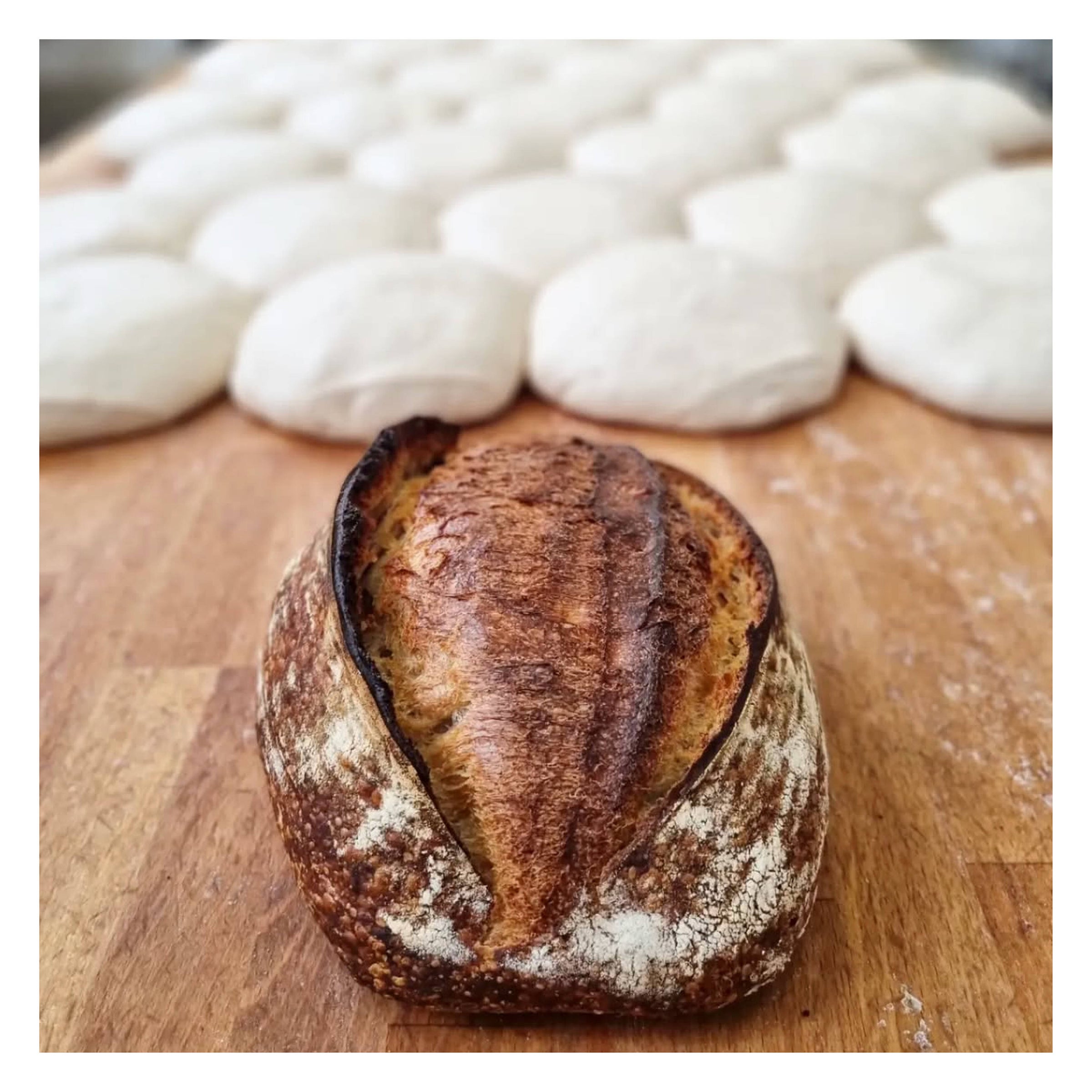 ABOUT US | Pavilion Bakery